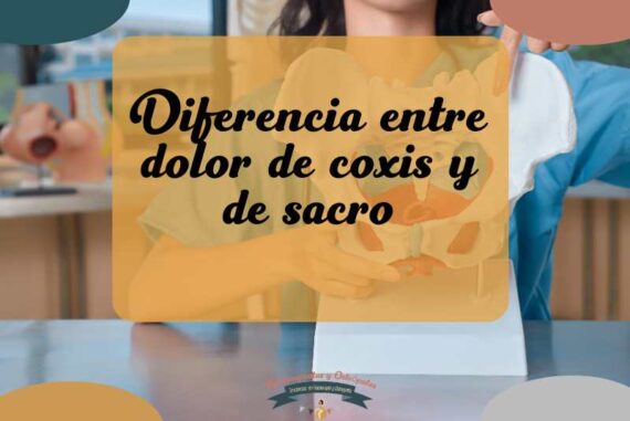 Dolor en el coxis: causas, síntomas y tratamiento fisioterapéutico